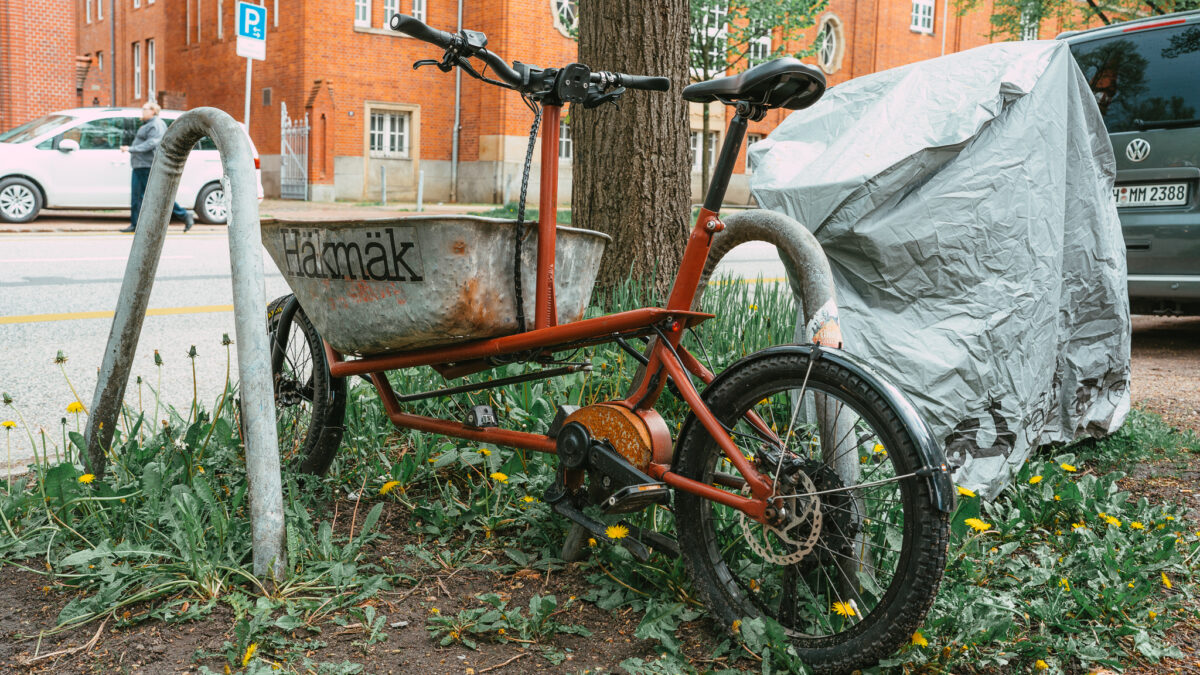 Rusty custom cargo - Rotten Bikes